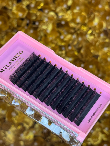 Cashmere Mink Lash Trays – MYLASHXO